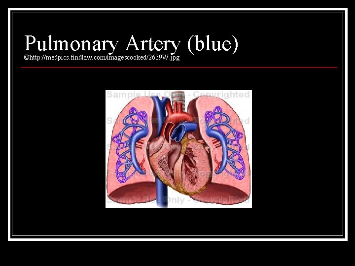Cardiovascular Disease Blood Vessels Diagram of the Heart