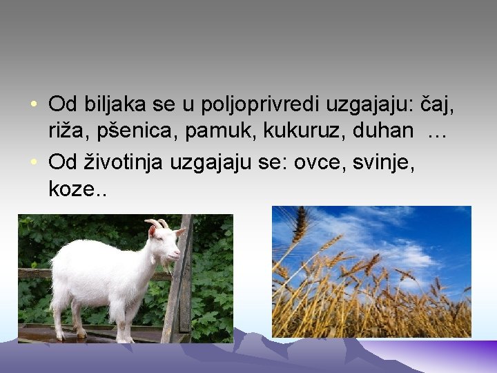 NEPAL Zastava Nepala je jedina dravna zastava koja