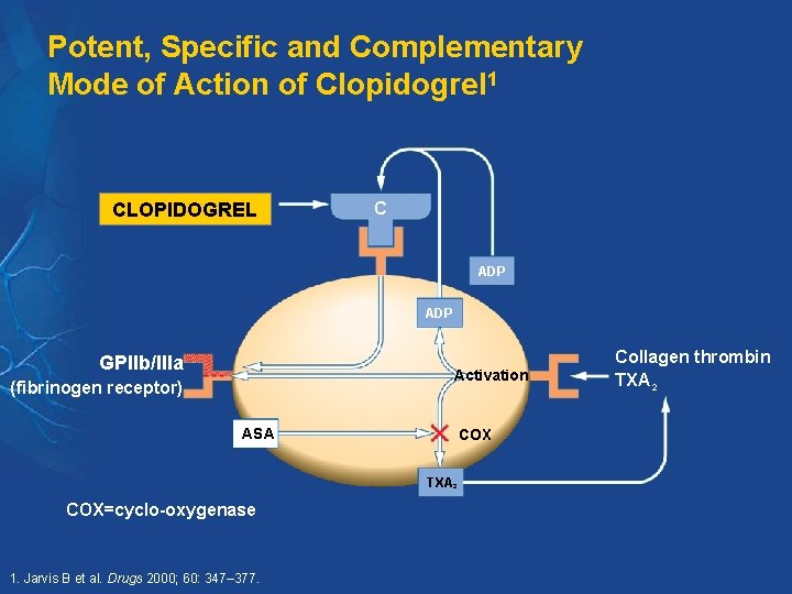 Clopidogrel in Patients with STSegment Elevation Myocardial Infarction