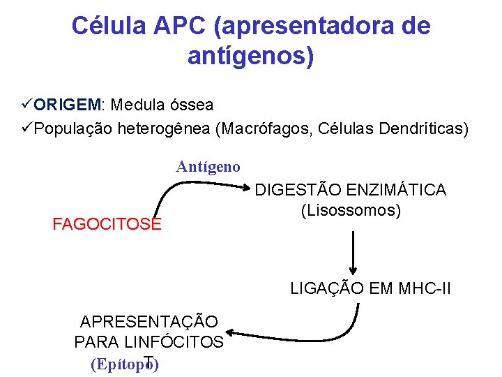 SISTEMA LINFTICO constituise em vasos linfticos tecidos e