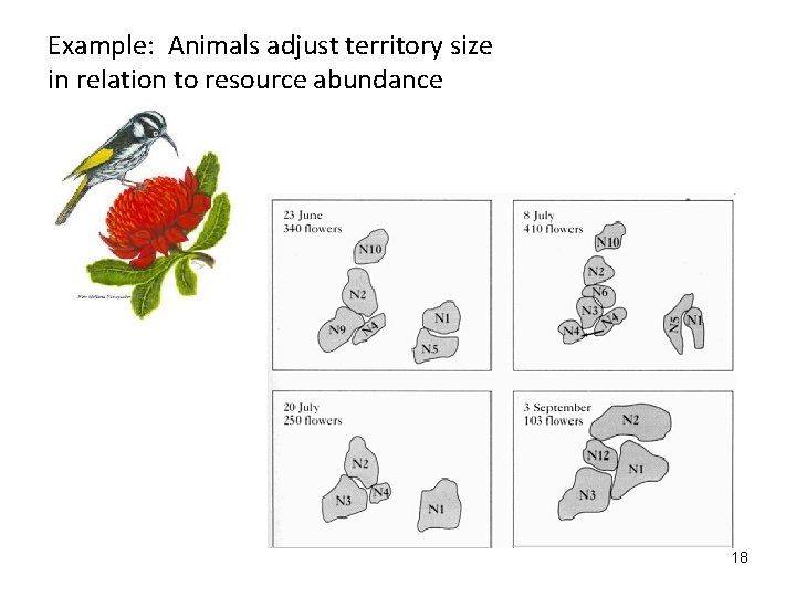 How does an animal choose where to live