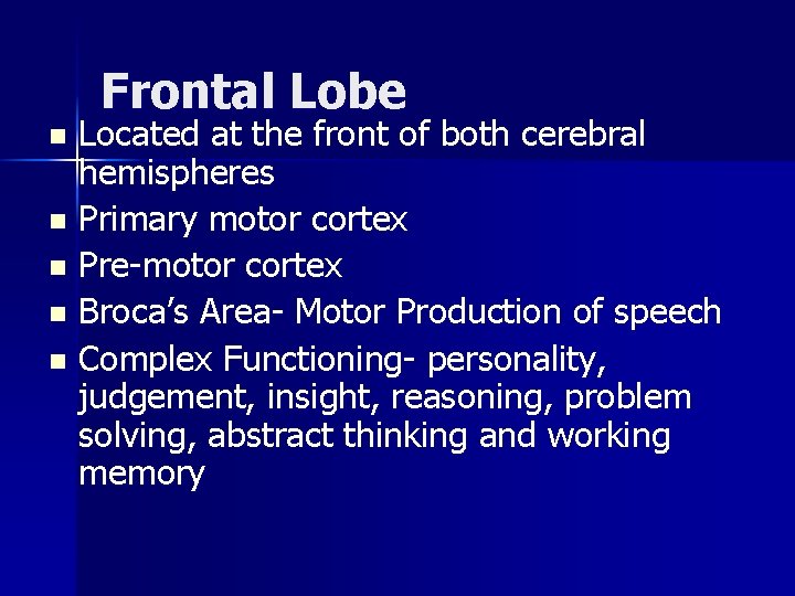 Brain Structure and Function Overview n n n