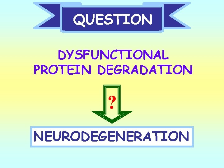 QUESTION DYSFUNCTIONAL PROTEIN DEGRADATION NEURODEGENERATION ...