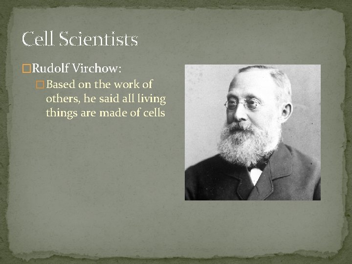 Cells Cells Cells are the basic unit of