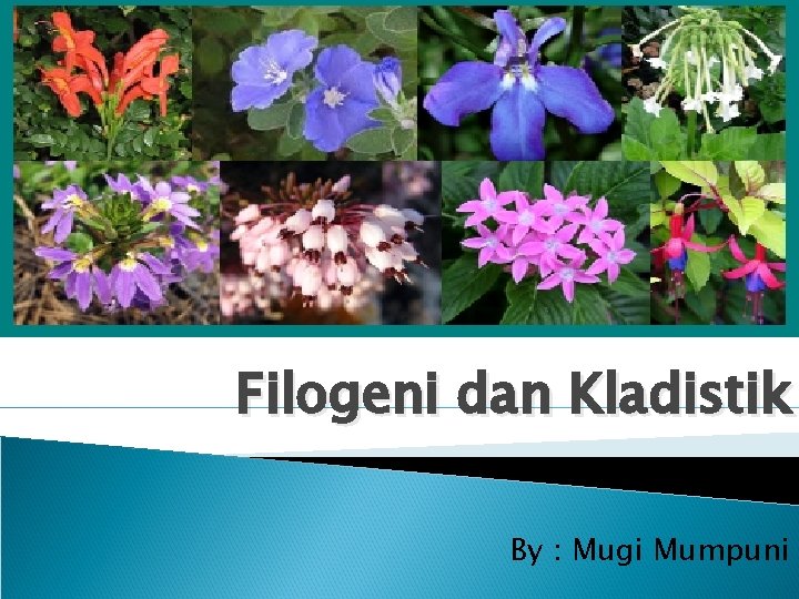 Filogeni dan Kladistik By Mugi Mumpuni Linnaeus Darwin