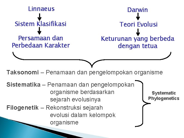Filogeni dan Kladistik By Mugi Mumpuni Linnaeus Darwin