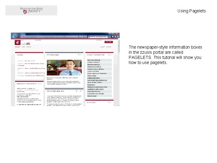 Using Pagelets Using Pagelets The newspaperstyle information boxes