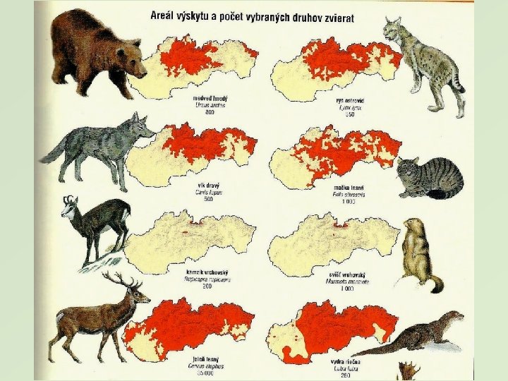 Rastlinstvo a ivostvo vplyv prrodnch zloiek a loveka