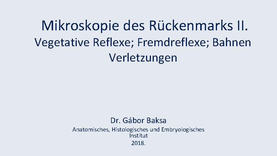 Mikroskopie des Rckenmarks II Vegetative Reflexe Fremdreflexe Bahnen