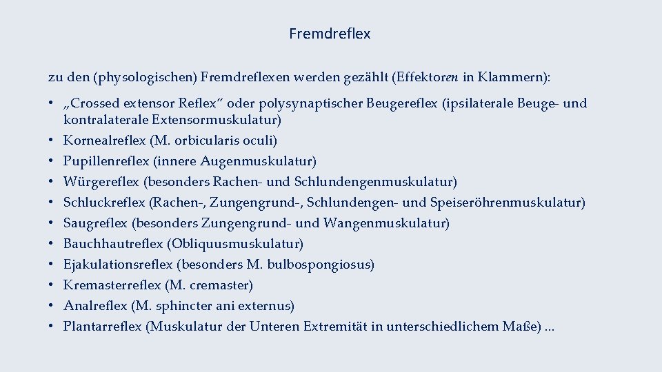 Mikroskopie des Rckenmarks II Vegetative Reflexe Fremdreflexe Bahnen