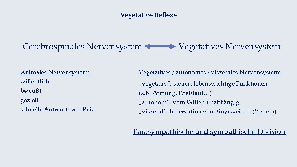 Mikroskopie des Rckenmarks II Vegetative Reflexe Fremdreflexe Bahnen