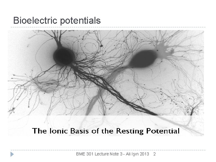 BME 301 Biomedical Sensors Lecture Note 3 Bioelectric