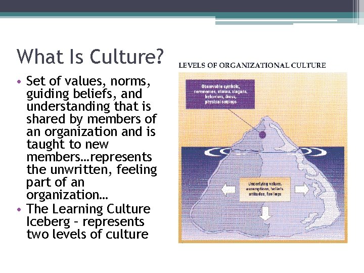 Organizational Culture and Ethics Pilar Santiago Justin Kuiper