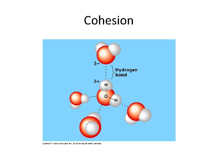 Biochemistry Water Properties Earth 23 rds covered by