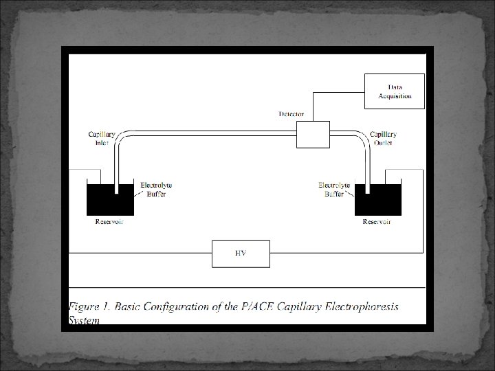 HighPerformance Liquid Chromatography HPLC and Capillary Electrophoresis CE