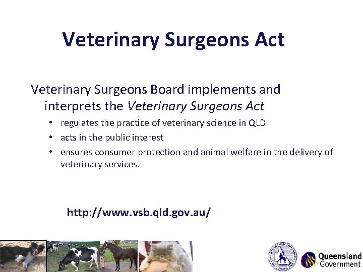 The Veterinary Surgeons Board of Queensland The purpose