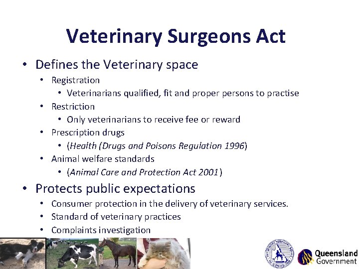 The Veterinary Surgeons Board of Queensland The purpose