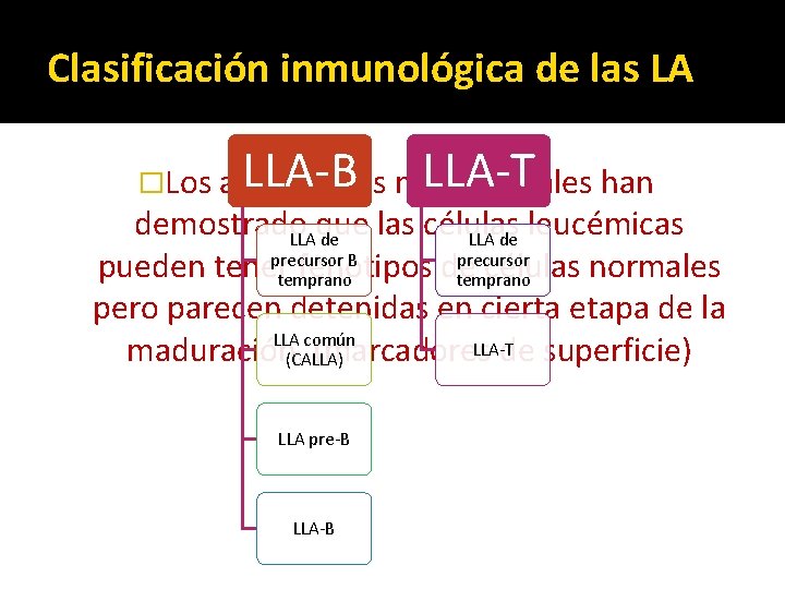 Leucemia Linfoblstica Aguda LLA Dulce Mara Luna Cano