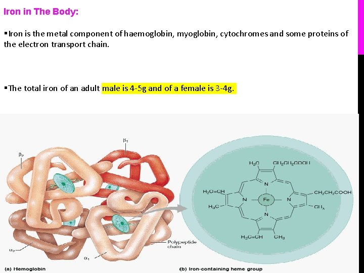 Lab 3 BCH 220 Quantitative Determination of Serum