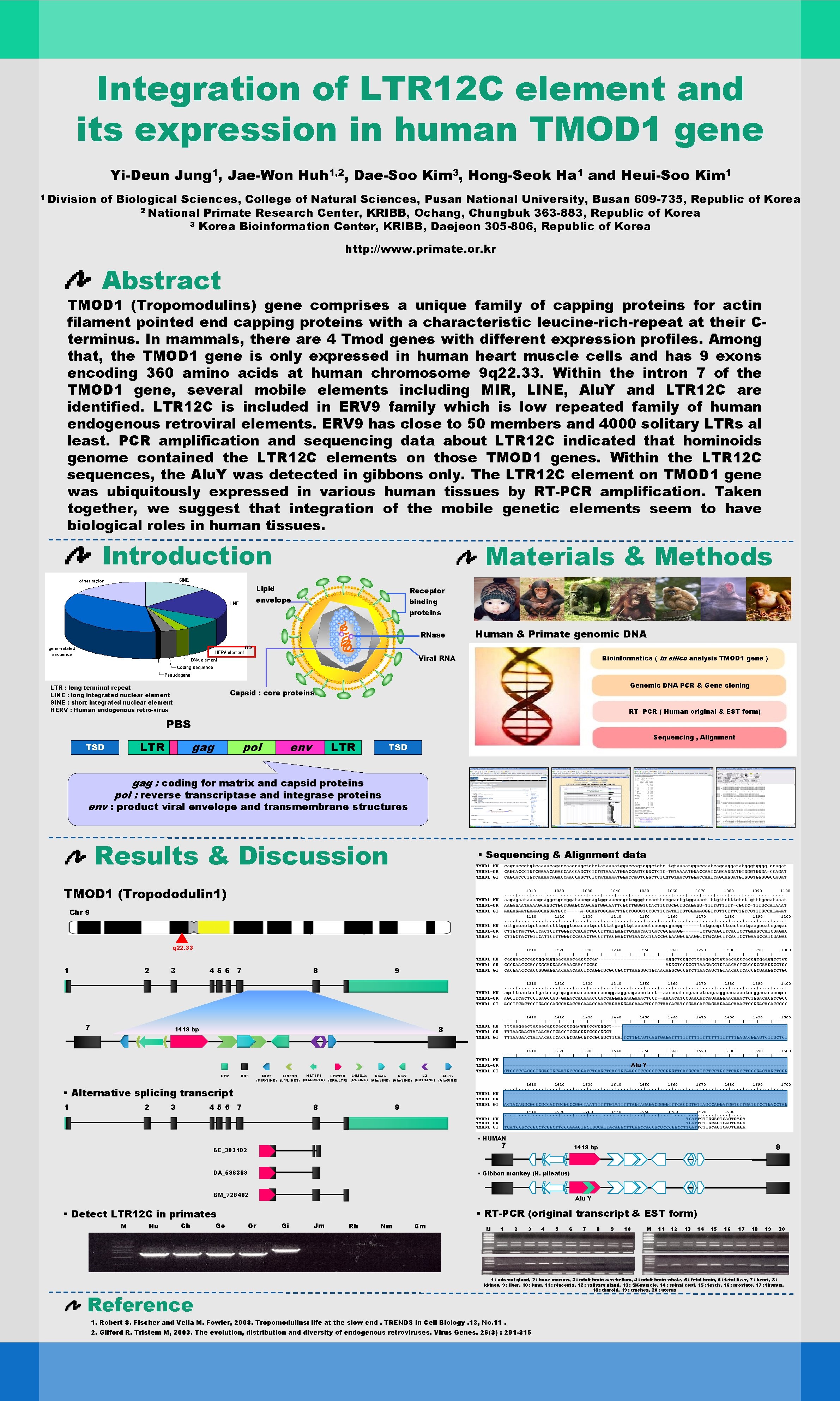 Integration of LTR 12 C element and its