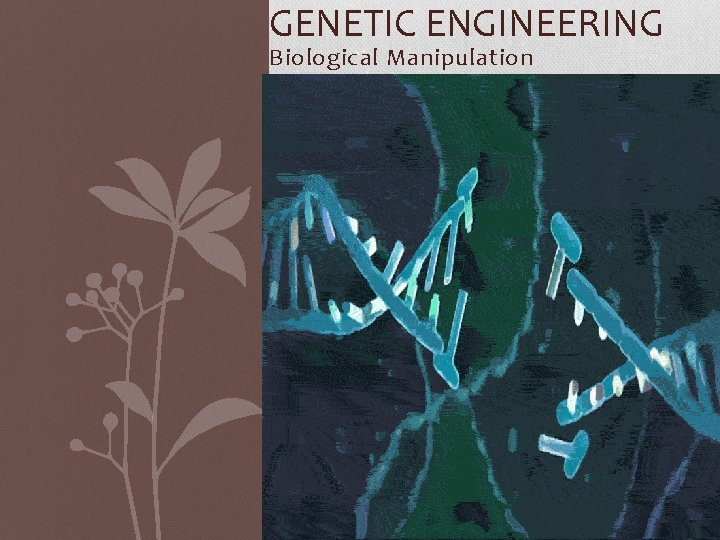 GENETIC ENGINEERING Biological Manipulation Changing the Living World