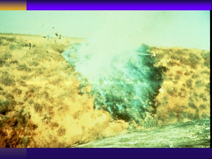 Common Denominators of Fire Behavior on Tragedy and