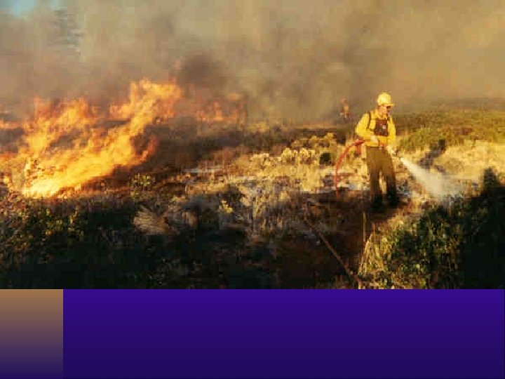 Common Denominators of Fire Behavior on Tragedy and