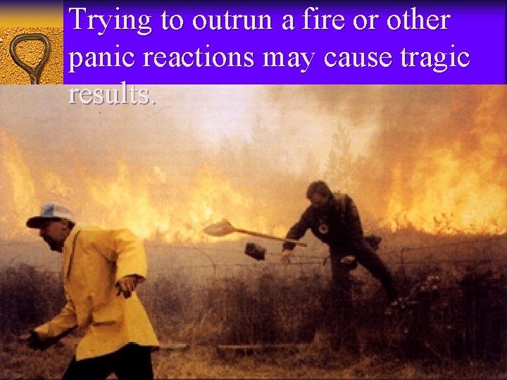 Common Denominators of Fire Behavior on Tragedy and