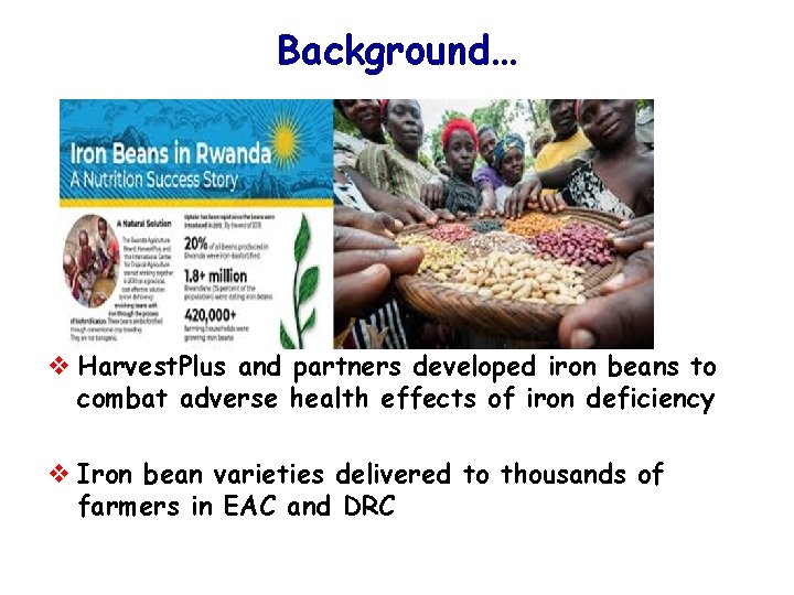 Extrusion of Iron Beans to produce convenient products