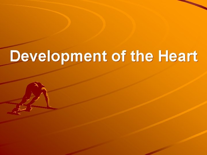 Development of the Heart Development of primitive heart
