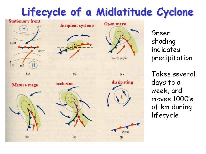 Midlatitude Cyclones Equatortopole temperature gradient tilts pressure ...