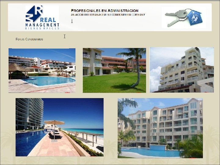 REAL MANAGEMENT es una empresa fundada en el