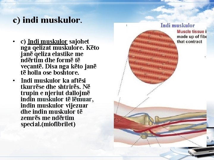 SI SHT ORGANIZUAR TRUPI I NJERIUT indi epitelial