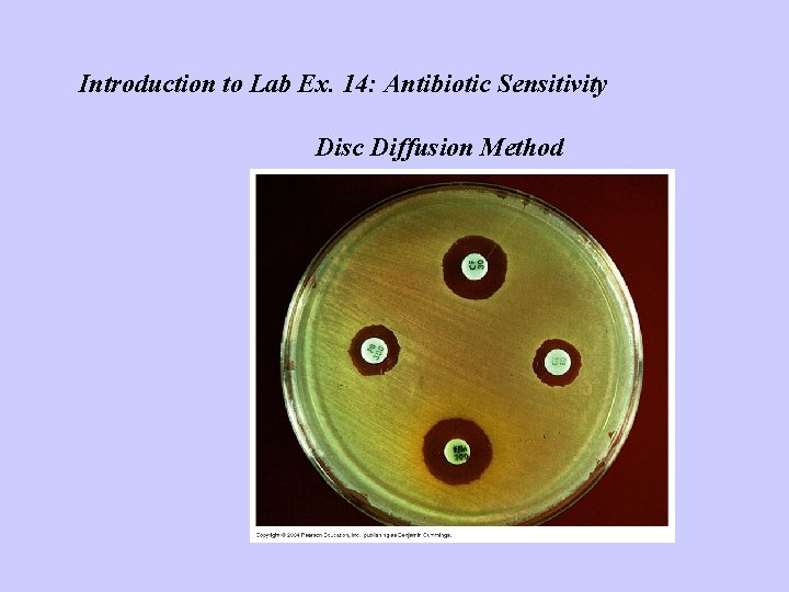 Introduction to Lab Ex 14 Antibiotic Sensitivity Disc