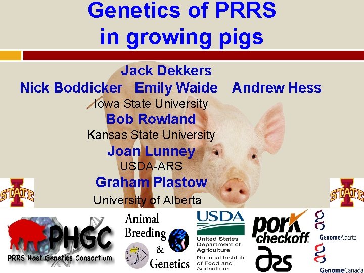 Genetics of PRRS in growing pigs Jack Dekkers