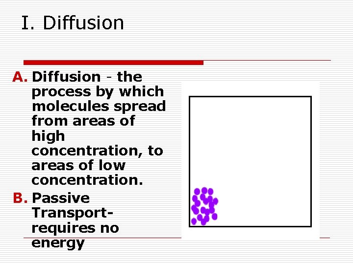 Diffusion Osmosis Homeostasis and the Plasma Membrane Maintaining
