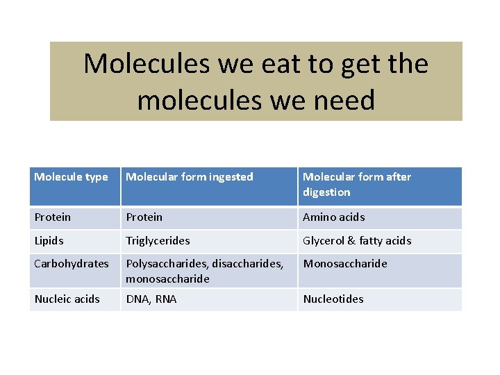 Human Systems Lets talk digestion Pick a digestive
