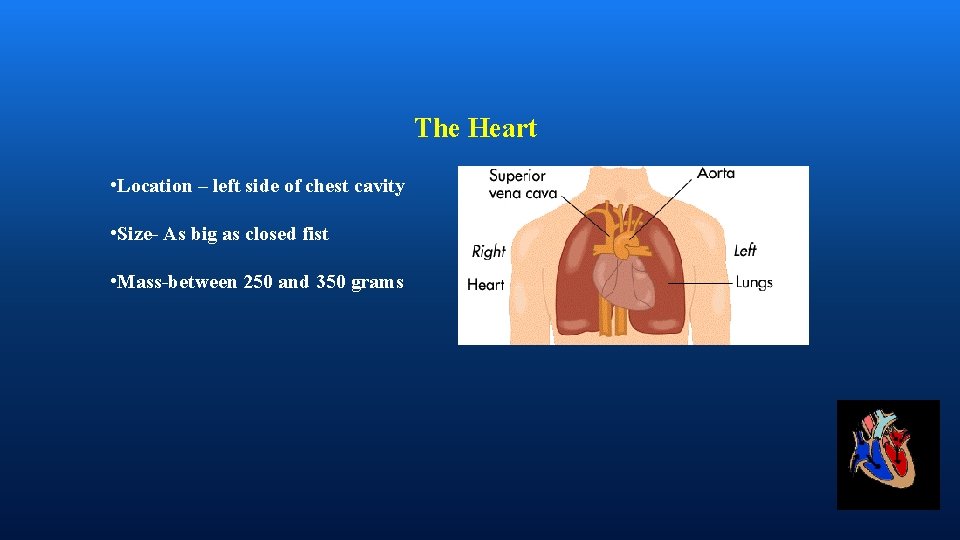 BLOOD CIRCULATORY SYSTEM CLASS X Ms Sarita Tejwani