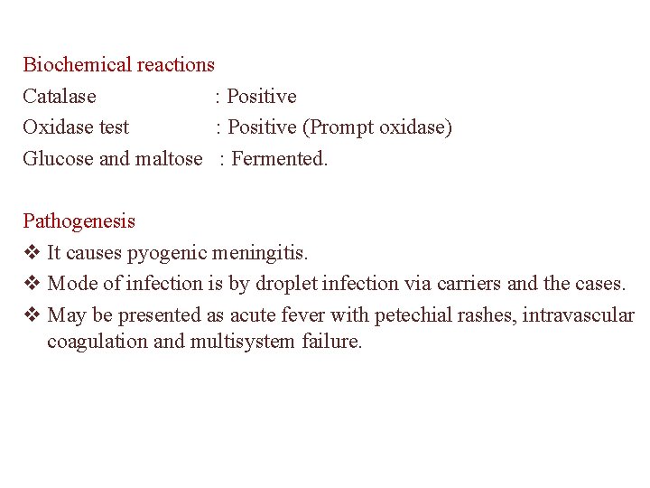 NEISSERIA v The genus Neisseria consists of Gram