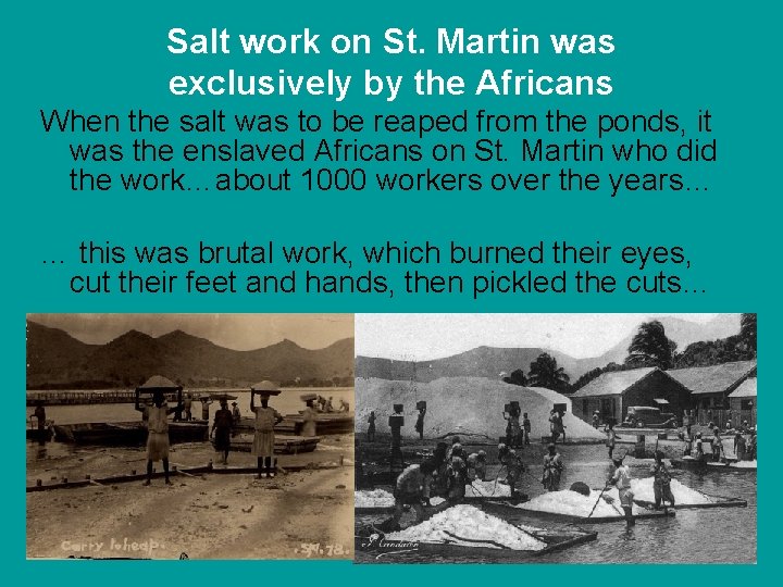 Migratory Bird Festival The Great Salt Pond A