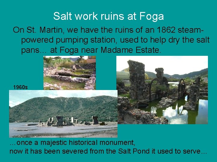 Migratory Bird Festival The Great Salt Pond A