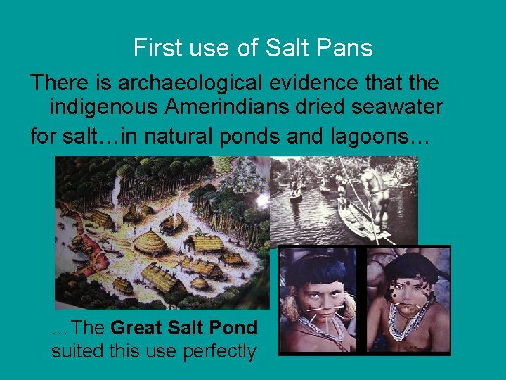 Migratory Bird Festival The Great Salt Pond A
