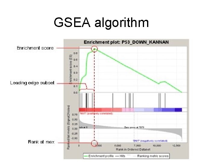 Gene Set Enrichment Analysis GSEA Key Features Ranks