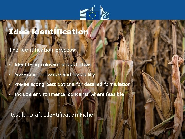 Environment and climate change in development cooperation Making