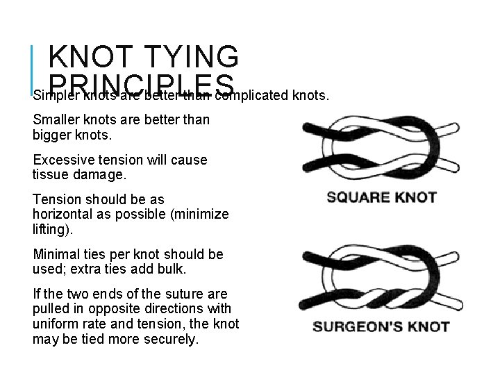 SUTURING Animal Science SUTURES Sutures are used to