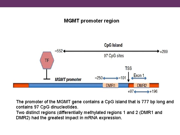 UNDERSTANDING AND EXPLOITING THE TUMOR MICROENVIRONMENT IN GLIOBLASTOMA