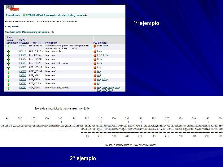 TUTORIAL PDBSUM Protena 3 NVY El PDB SUM