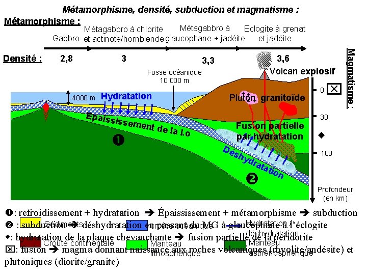 Mtamorphisme densit subduction et magmatisme Mtamorphisme Mtagabbro ...