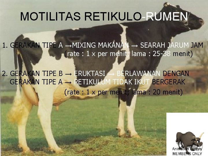 ANATOMI DAN FISIOLOGI PENCERNAAN RUMINANSIA Oleh Prof Dr