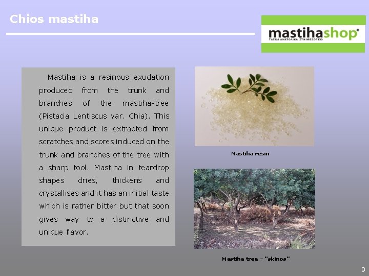 MEDITERRA SA The mastiha experience Brand presentation 2015